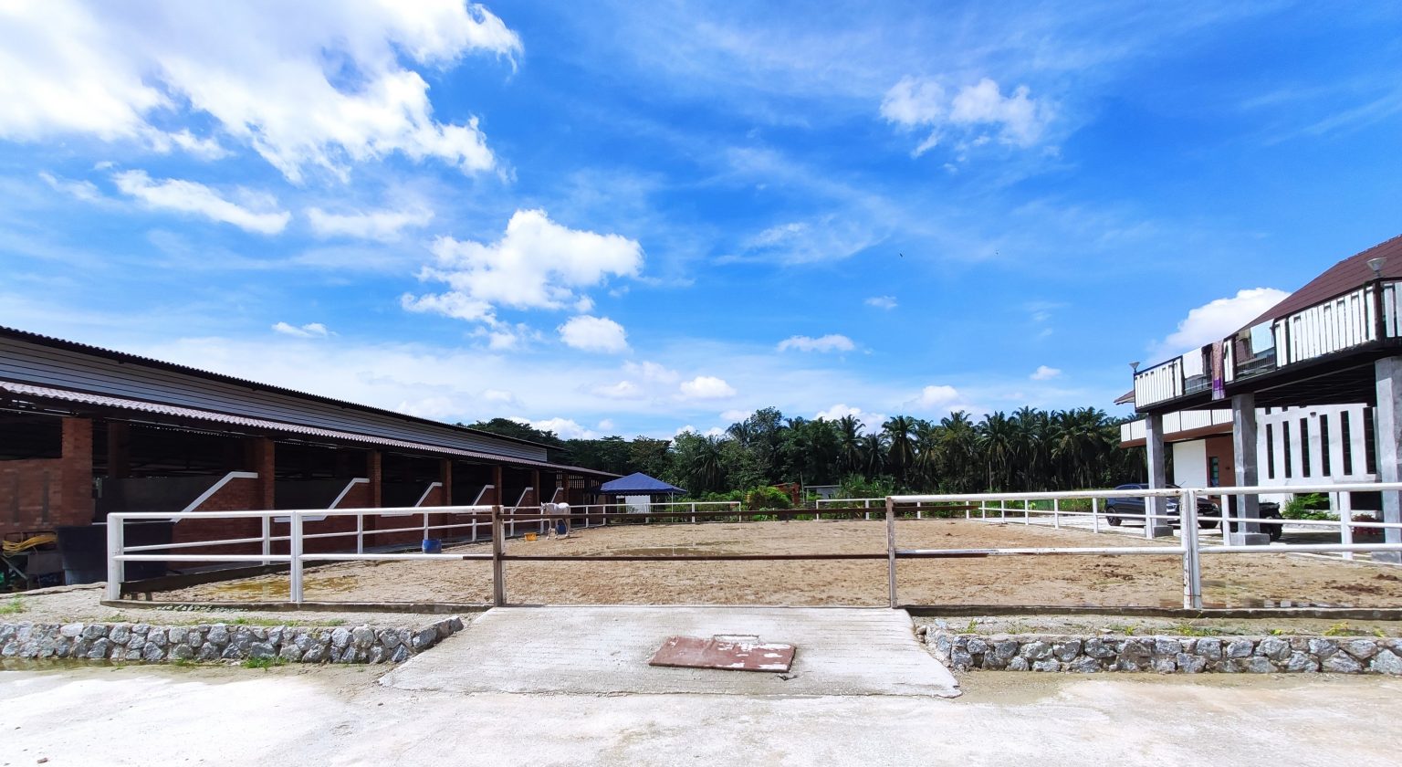 Kasavilla Stable - Horse Riding Malaysia