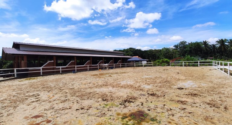 Kasavilla Stable - Horse Riding Malaysia