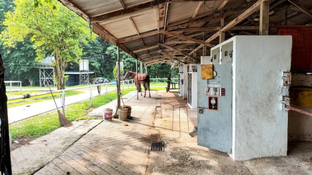 Iskandar Polo Club - Horse Riding Malaysia