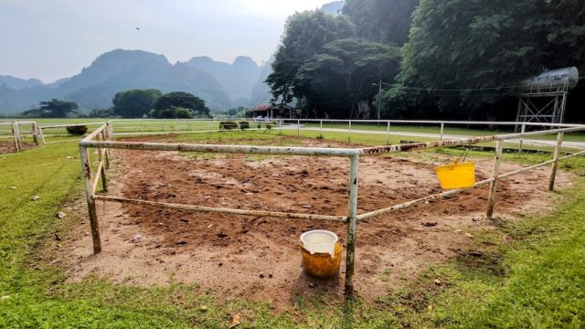 Iskandar Polo Club - Horse Riding Malaysia